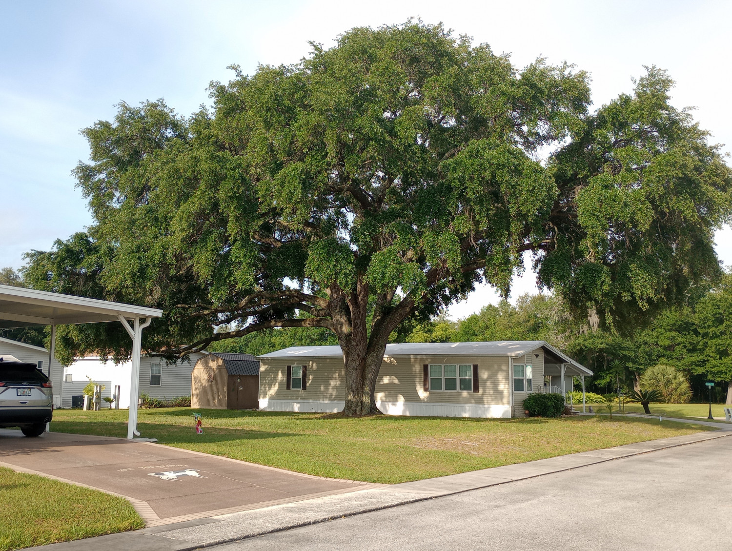 Shady Oaks Mobile-Modular Estates